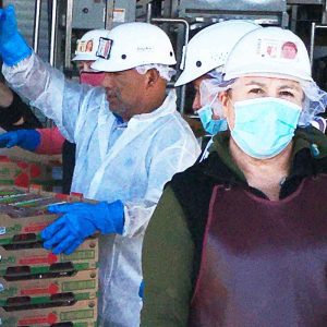 Home - Teamsters Local 853